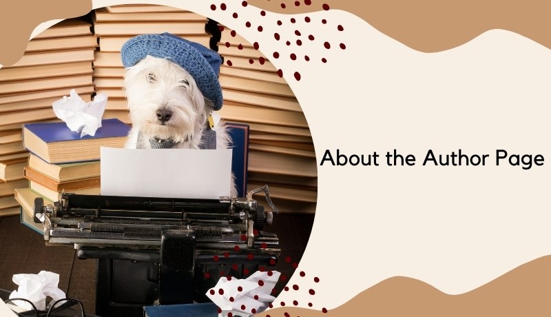How To Write About The Author Page Box With 20 Examples 